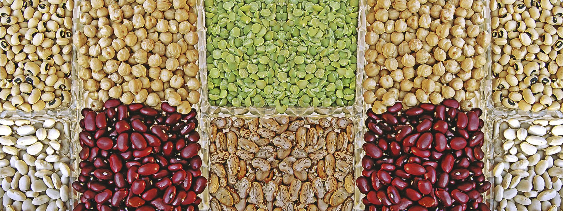 Les légumes secs en Provence - Fermiers de Provence